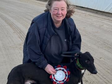 Sunderland Greyhounds | Sunderland Dogs