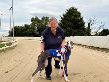 Sunderland Greyhounds | Sunderland Dogs