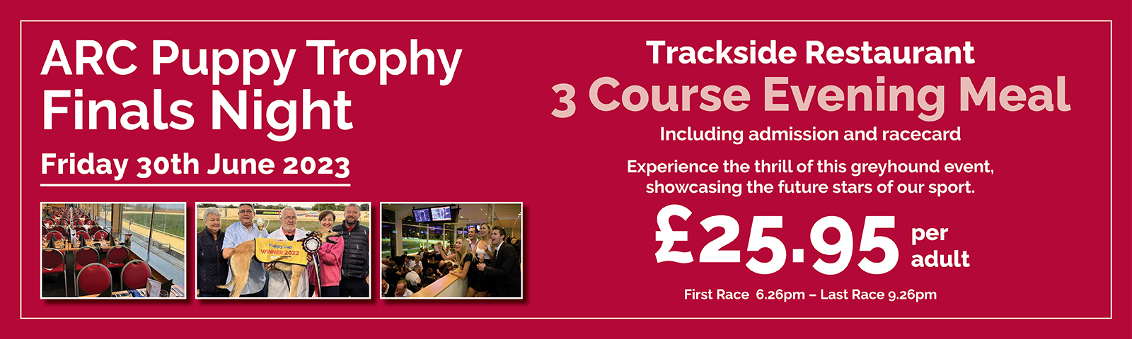 Sunderland Greyhounds | Sunderland Dogs