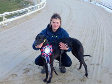 Sunderland Greyhounds | Sunderland Dogs
