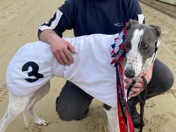 News | Racing News | Sunderland Greyhounds