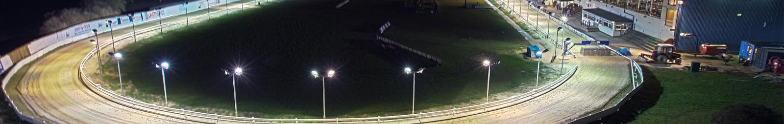 Sunderland Greyhounds | Sunderland Dogs